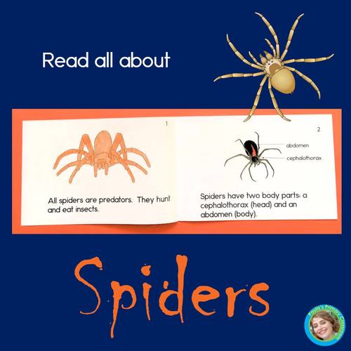 All About Spiders STEM STEAM Activities Parts of a Spider Hat Craft ...