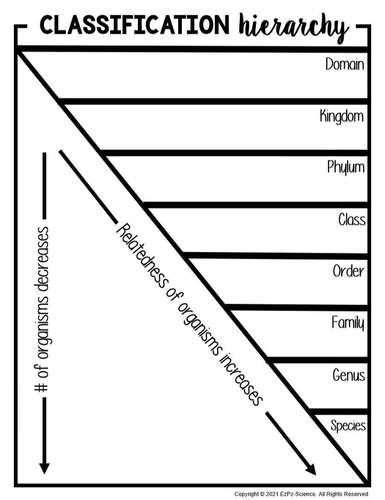 Life Science Anchor Charts | Posters | Reference Guides for Middle School