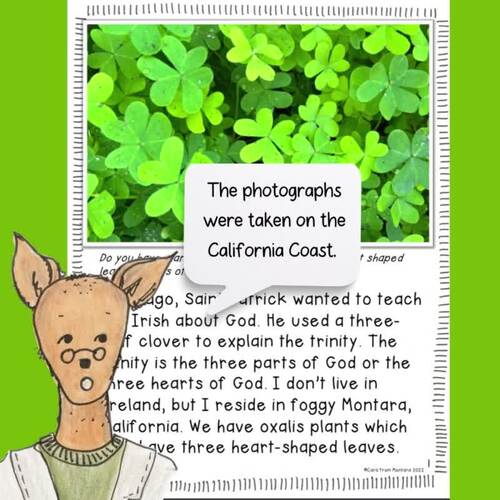 Holy Trinity Book for the Religious Classroom by Cara from Montara