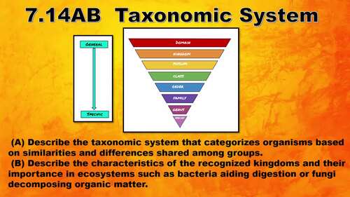 TEKS 7.14 (A,B) Taxonomic System by RITZ EDUCATION | TPT