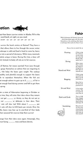 Fat Bear Week Worksheets by Little Bison Press | TPT