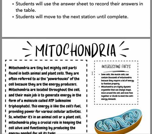 Parts of a Cell & Organelles Gallery Walk | Interactive Reading Activity