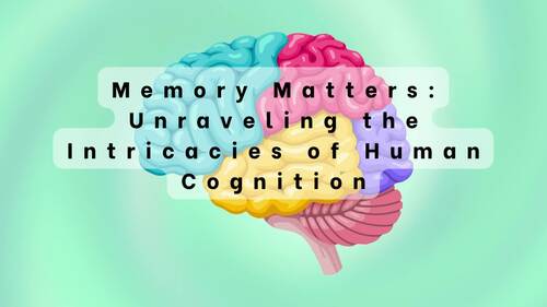 Memory Matters: Unraveling the Intricacies of Human Cognition Reading ...