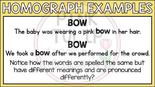 Homographs Bundle - Worksheet Pack and Guided Teaching PowerPoint