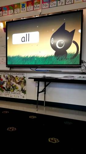 CKLA Skills Tricky Word Digital Download Practice by BagsbyFam | TpT