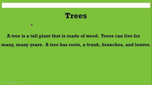 DIBELS 8 EOY Benchmark Assessment Grade 3 by Peaceful Classroom | TPT
