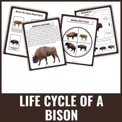 Life cycle of a Bison | Animals science unit study with fun facts!