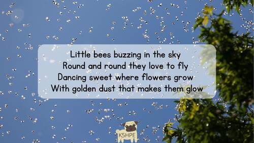 Music: Honey Bee Song, Classroom Songs Lyrics Sing-along, Making Honey