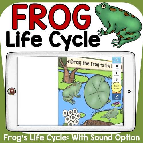FROG LIFE CYCLE BOOM DIGITAL CARDS: GOOGLE CLASSROOM DISTANCE LEARNING