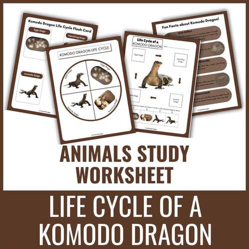 Life Cycle Of a Komodo Dragon Worksheet | Reptiles Unit Study With Fun ...