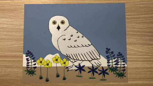 Snowy Owl Bird Animal Directed Drawing Lesson | Science | Draw Video