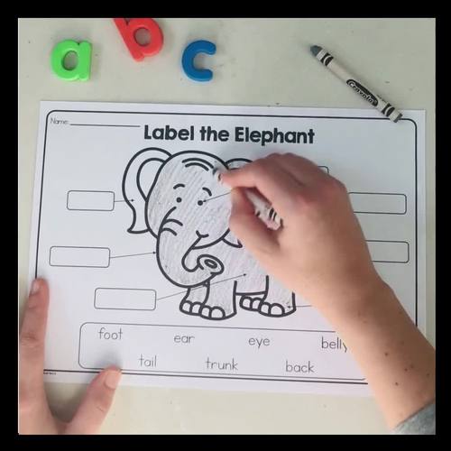 Elephant Information Report | African Animal Informative Writing | Zoo ...