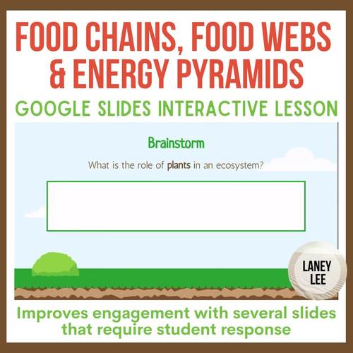 Ecology: Food Webs and Energy Pyramids Google Slides Interactive Lesson