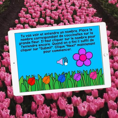 Compte jusqu'à 10 | Les coccinelles | Cartes Boom avec audio | TPT