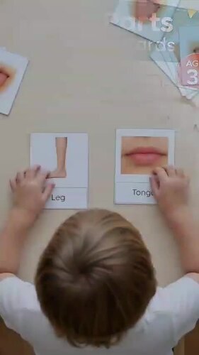Montessori-Inspired: Human Body Vocabulary Cards by Montessori STEAM ...