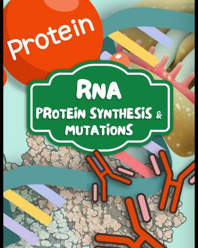 Interactive Notebook: Protein Synthesis & Mutations by Mammoth Science