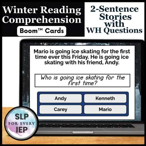 Winter 2-sentence Reading Comprehension Stories with WH Questions-Boom ...