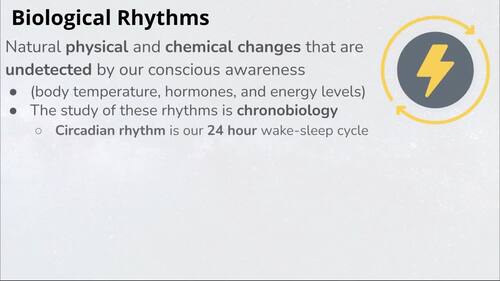 AP Psychology - Lecture Notes - The Sleep Cycle (Unit 1) by GOOD BETTER ...