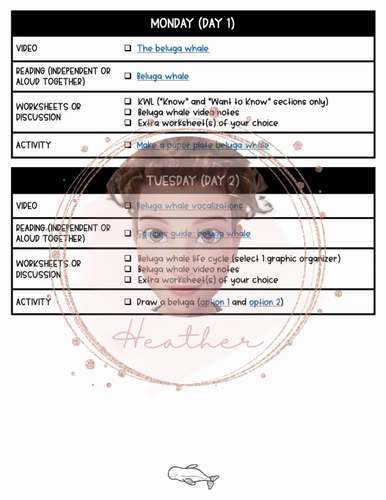 Beluga Whale Unit Study | Lesson Plan and NO PREP Activities | Arctic ...