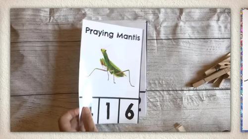 Counting Bugs 1 to 10: Clip Cards! by Miss Fuzzy Bee | TpT