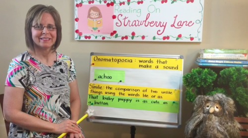 VIDEO: Reading: Set 1. Lesson 42. Word Family Pattern -ink | TPT