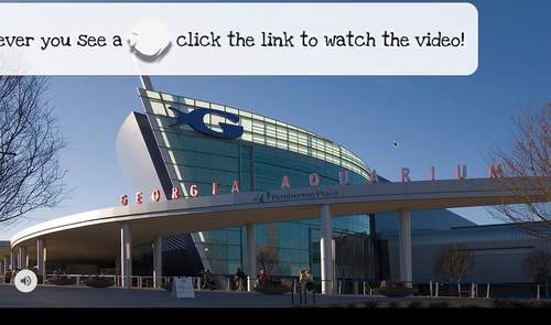 Georgia Aquarium Virtual Field Trip - Atlanta, Georgia by TheOneRadTeacher