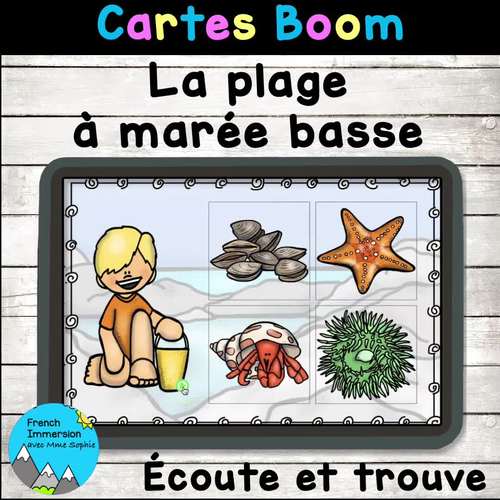 Bundle de vocabulaire plage à marée basse tide pool French vocabulary
