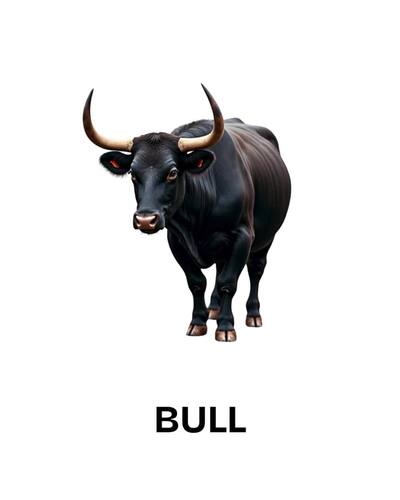 22 Realistic Farm Animals Flash Cards Printable • Editable Montessori Cards