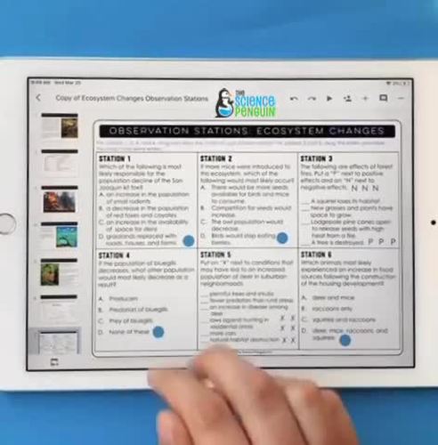Life Science Observation Stations BUNDLE | Food Webs Ecosystems Adaptations