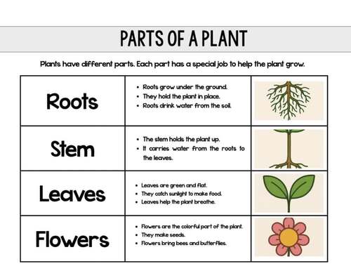 Kindergarten Plant Parts Sorting | Cut & Paste Science Worksheet ...