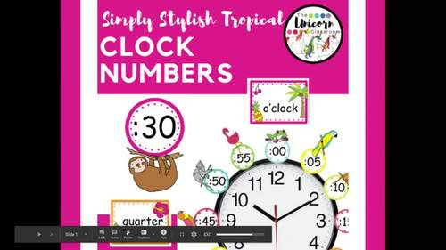Clock Numbers in Tropical Classroom Decor Theme by The Unicorn Classroom