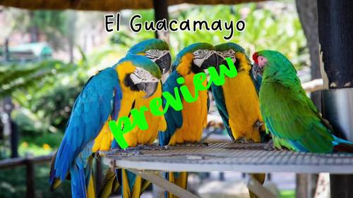 "Animales del Bosque Tropical" (Animals of the Rainforest in Spanish ...