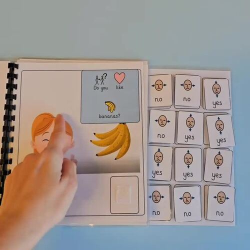 Do you like adapted book (SEN, colourful semantic WHEN, symbol supported)