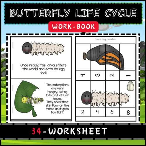 Printable Butterfly Life Cycle Worksheets by Lib Anatomy school | TPT