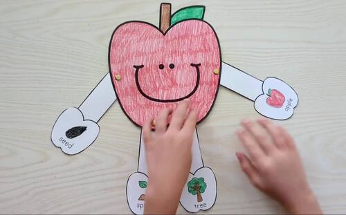 Apple Life Cycle Craft | September Fall Activity | Kindergarten | Preschool