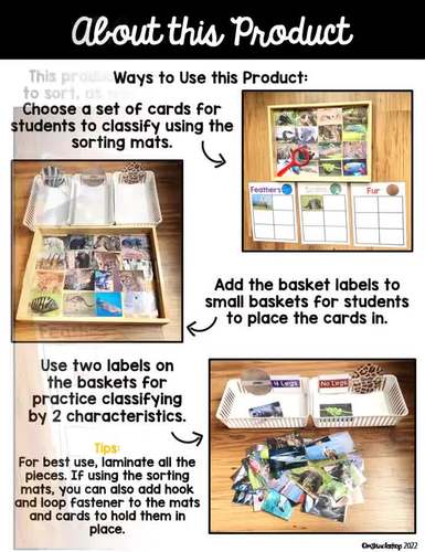 Sort and Classify Wild Animals Zoo Theme Preschool Science Center