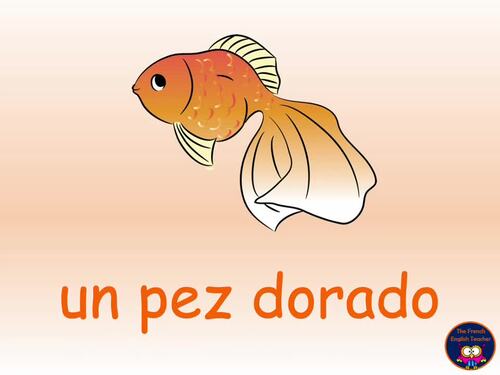 LAS MASCOTAS - POWERPOINT on pets vocabulary in Spanish | TPT