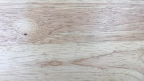 If I Was Prime Minister by Beck and Robin Feiner - Book Study for Year ...