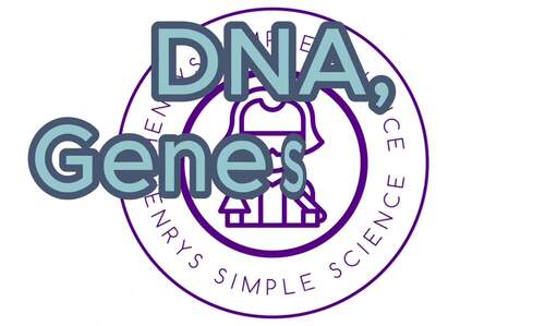 DNA, Genes and Inheritance - 5 lesson bundle - low ability/special ed/SEND
