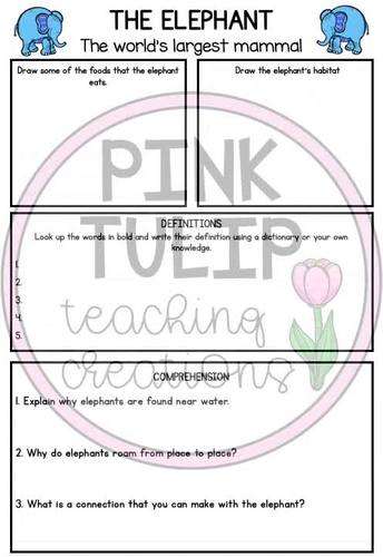 African Animals - Reading Comprehension Pack by Pink Tulip Teaching ...