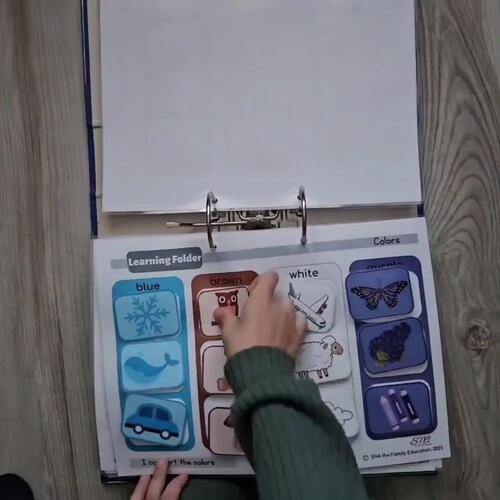 MEGA BUNDLE Toddler Preschool Learning File Folder/ Binder/ Busy Book ...