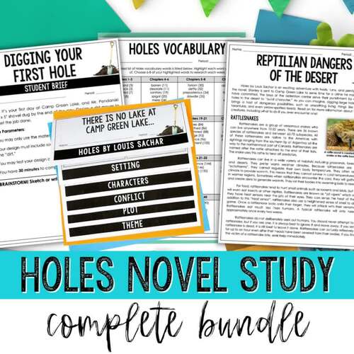 Holes Novel Study Unit - 6th Grade Novel Units - Holes Novel Activities