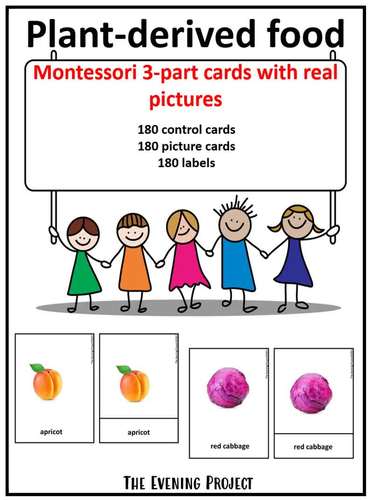 Plant-derived food Montessori, Autism, Special Ed. 3-part cards with ...