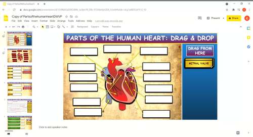 Parts Of The Human Heart: Drag & Drop Worksheet:Google Slides. Powerpoint