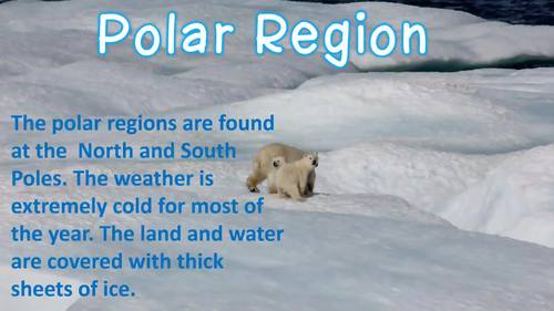 Distance Learning Polar Region Habitat Lesson for SeeSaw by Easy Street ...