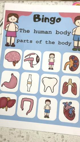 The human body activities parts of the body science bingo. | TPT