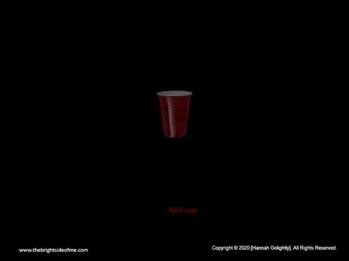 CVI Learn Red Items. Book 1 - CVI, LowVision, Multiple Disabled, AAC/Switch