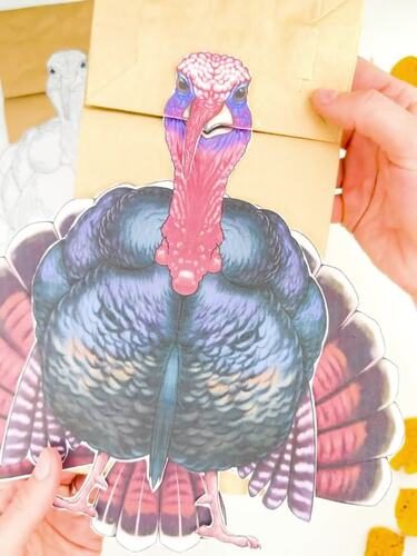 BUNDLE | Turkey | Printable Paper Craft Templates | Turkeys | Crafts