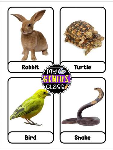 72 Animal Flashcards Real Photos for ESL Vocabulary and Habitat Study