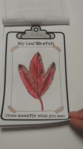 My Leaf Investigation Journal, Kindergarten Science, Fall Science ...